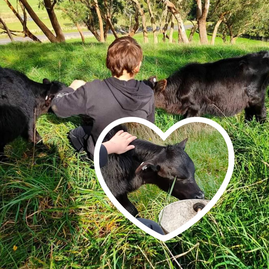 Living the Farm Dream – Kimba's Living